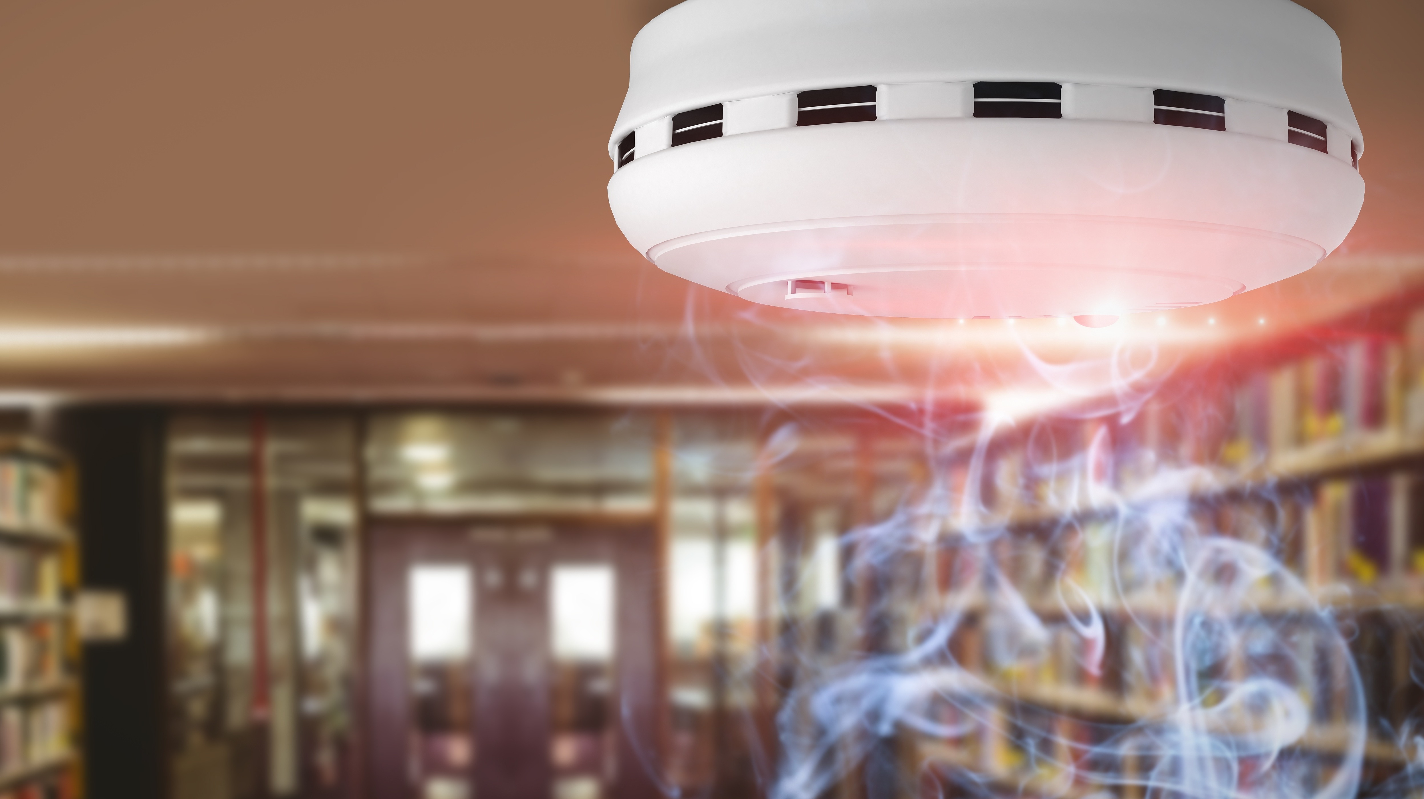 Intelligent Fire Detection And Alarm Systems In Public Buildings